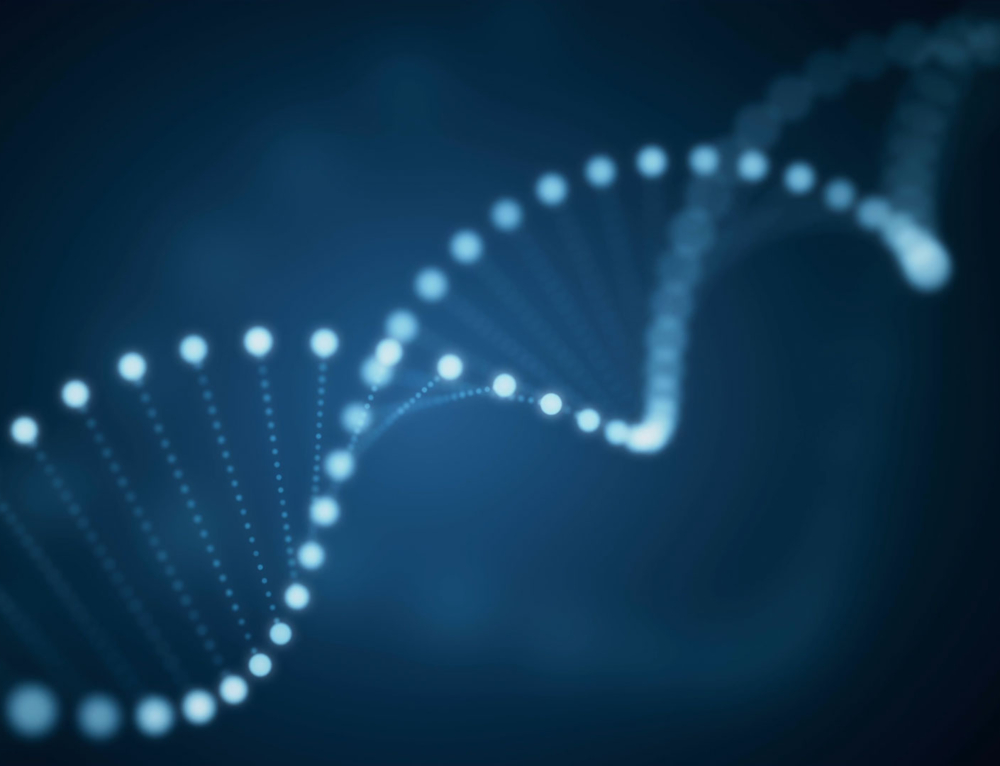 How to Choose the Right Endogenous Control Genes for Your qPCR ...
