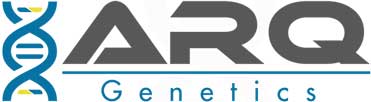 qPCR Service Provider with Experienced Staff