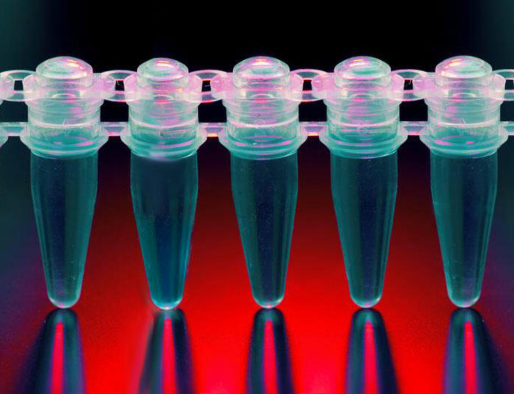 qPCR Data Analysis Explained: Understanding Ct Values, ΔΔCt, and Fold ...
